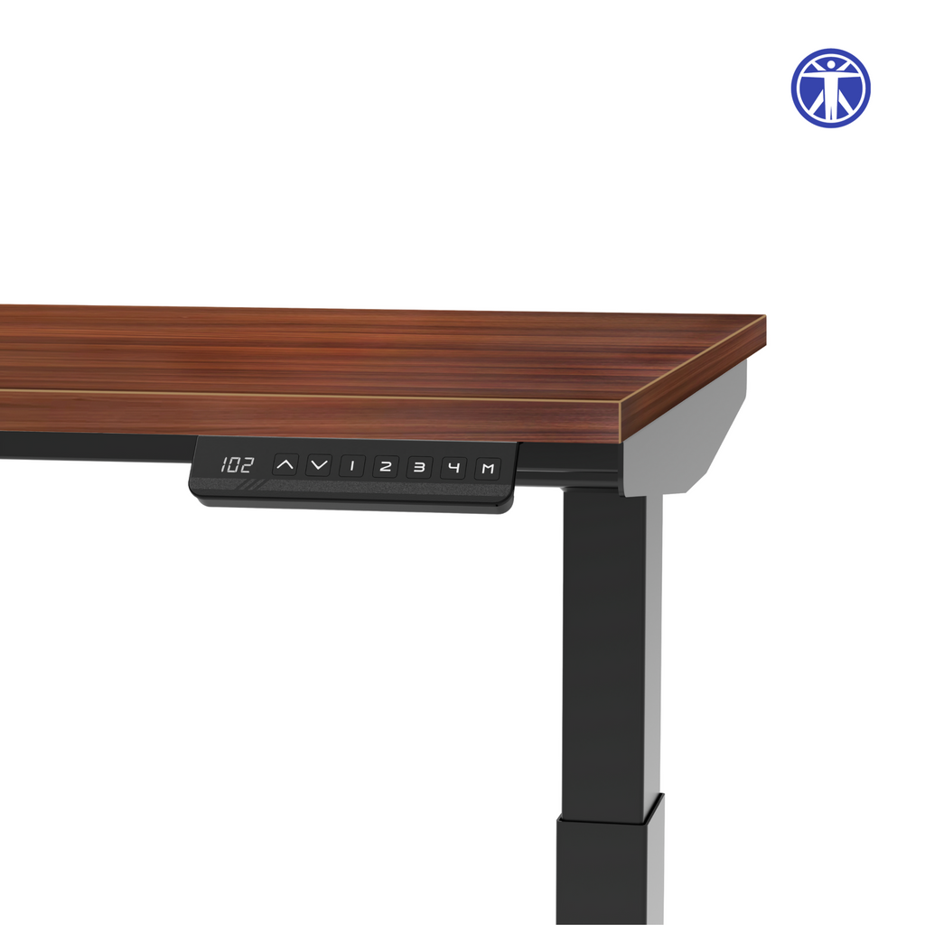 Dual Motor | Premium Height-Adjustable Standing Desk (2 Stage) | E2 Se ...