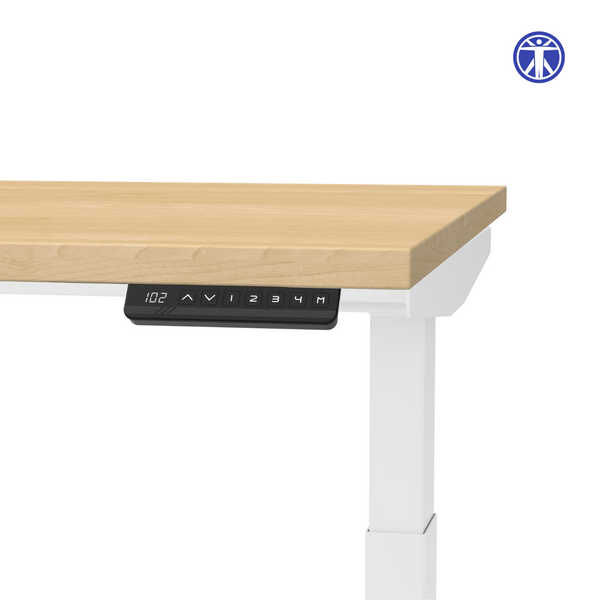Dual Motor | Premium Height-Adjustable Standing Desk (2 Stage) | E2 Se ...