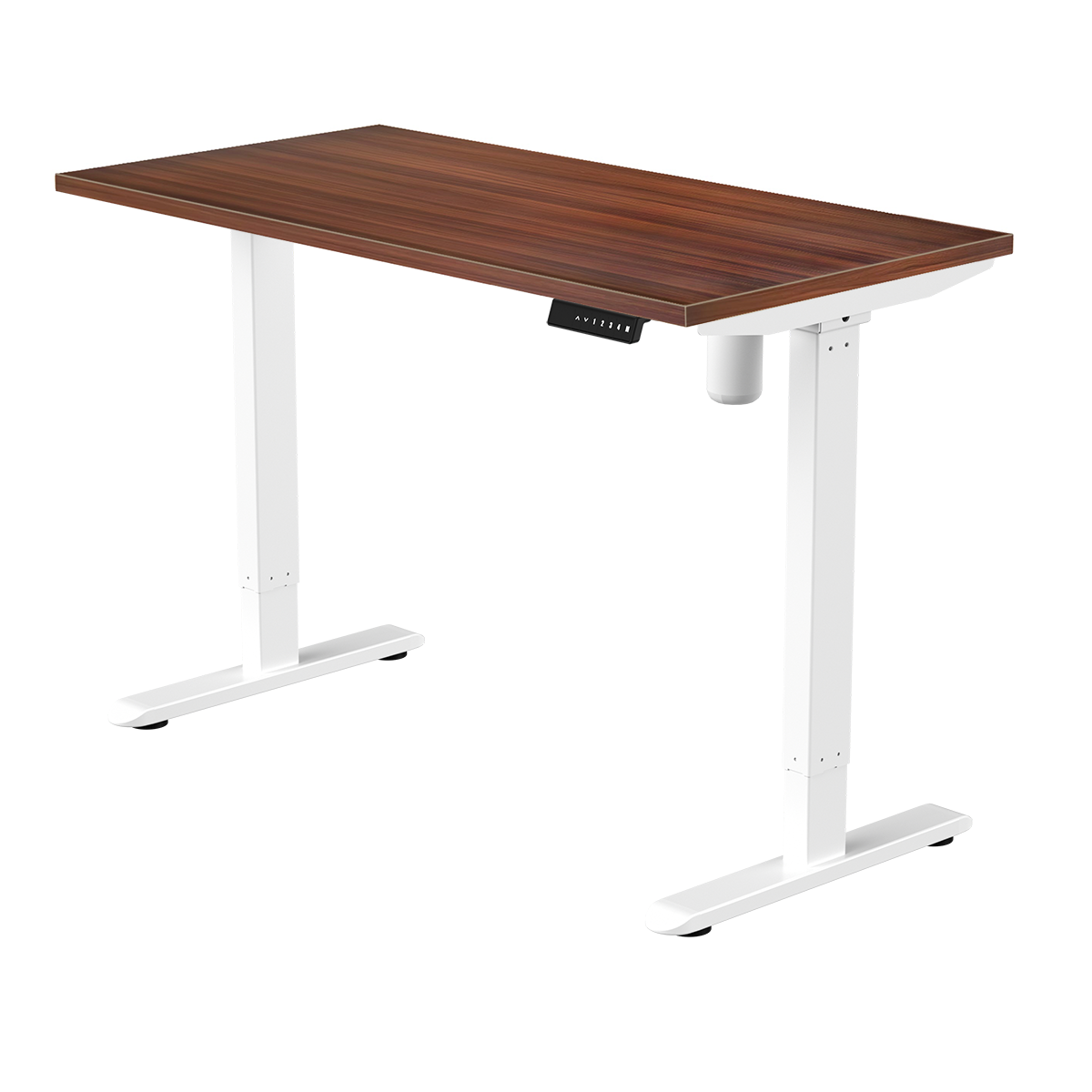 Single Motor | Height-Adjustable Desk with Walnut Laminate Table-Top ...